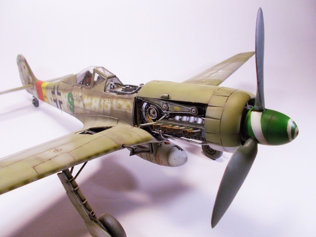 Die Grüne 9 von Sebastian | Focke-Wulf TA 152