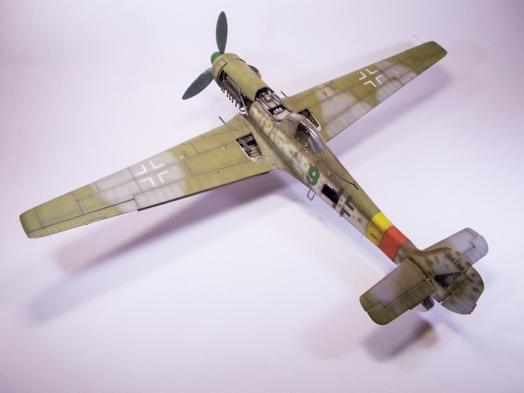 Die Grüne 9 von Sebastian | Focke-Wulf TA 152